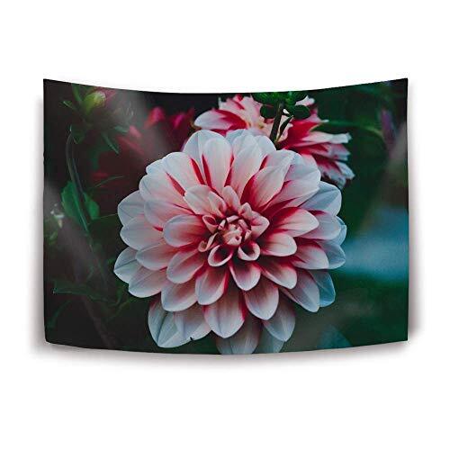 Various Artists - United Dreadlocks Volumes 1 An [CD] | eBay