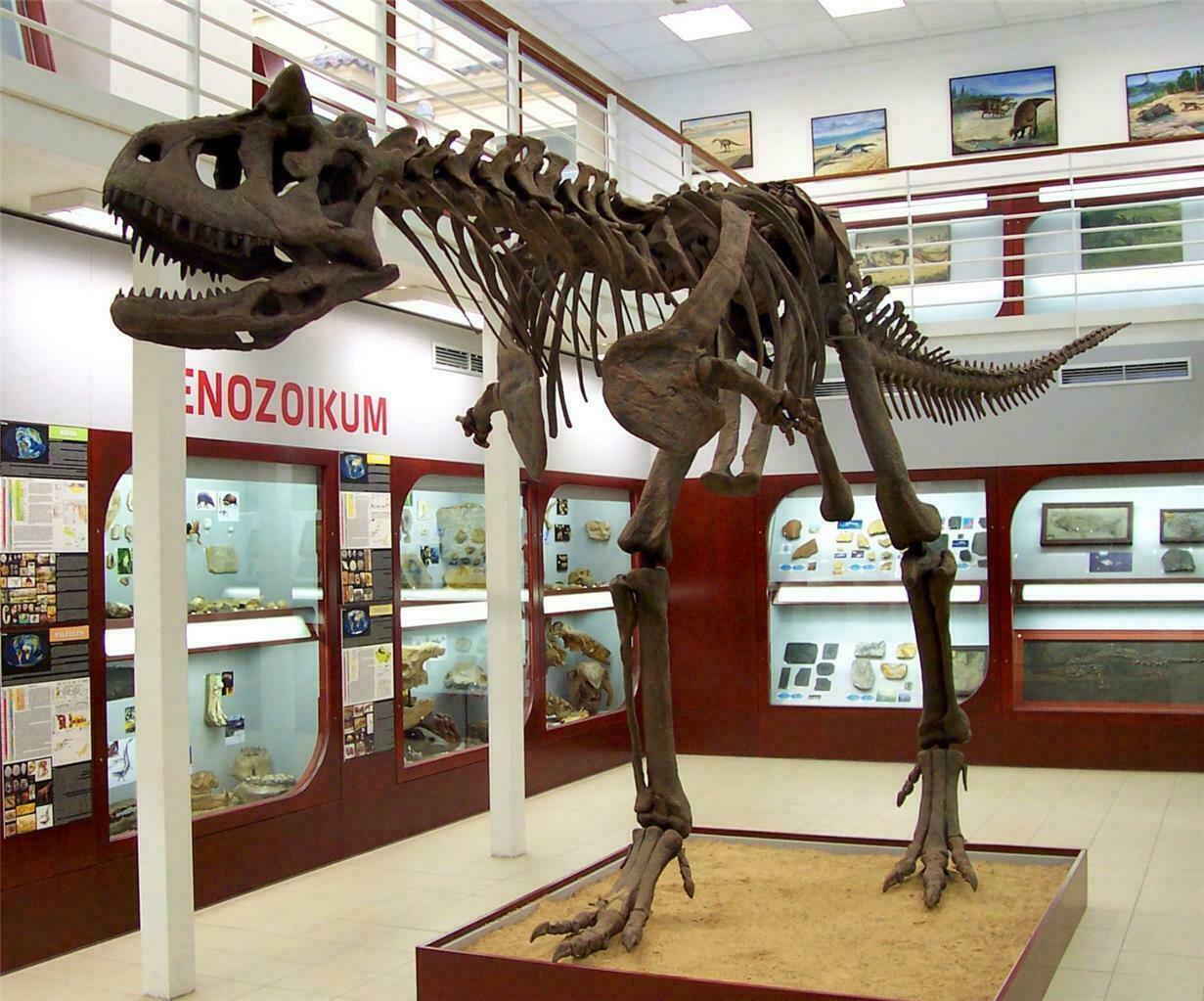 CARNOTAURUS SKELETON GLOSSY POSTER PICTURE PHOTO dinosaurs jurassic ...