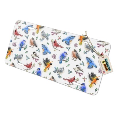 Northeastern Birds Pattern Novelty Metal Vanity Tag License Plate | eBay