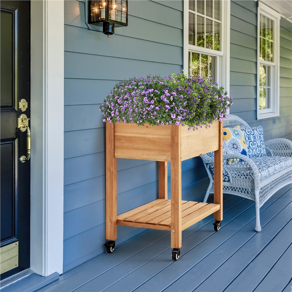 Hochbeet mit Rollen Pflanzkasten Blumenkübel Kräuterbeet Frühbeet Holz ...