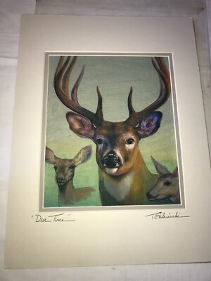 DEER TIME Thomas Galasinski Hand Signed ART PRINT Matted WHITETAIL Buck ...