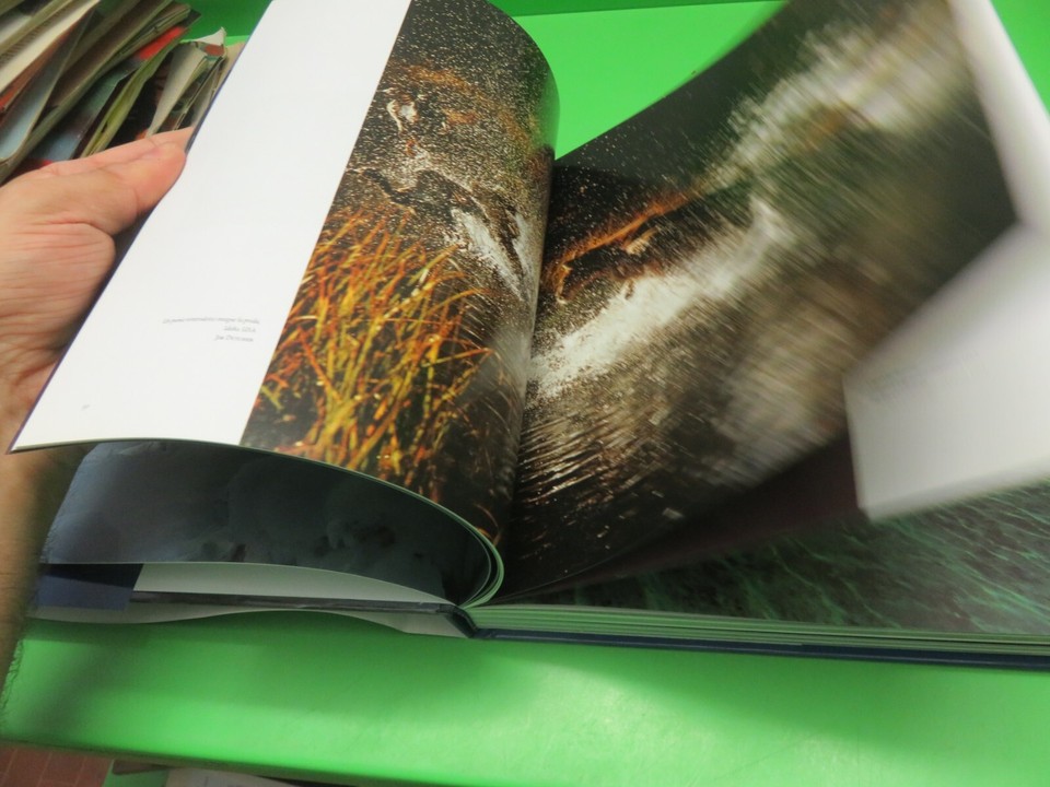 NATIONAL GEOGRAPHIC - The Great Nature Photographers - John G. Mitchell ...