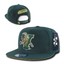 University of Vermont UVM Catamounts NCAA Flat Snapback Baseball Ball ...