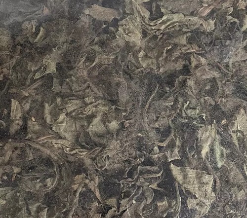 WHOLE SCENT LEAVES (Nchanwu, Efirin) - Dried Quality. Aromatic Herb. | eBay