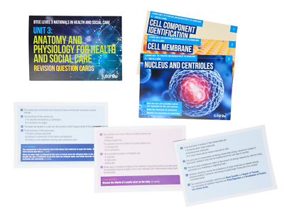 Human Anatomy Physiology Unit 3 Quiz Body Tissues By Best For Teachers