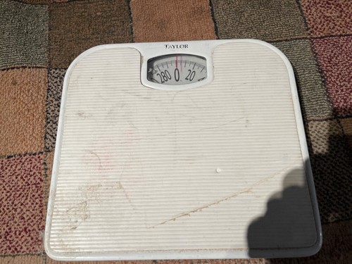 Taylor Mechanical Rotating Dial Scale Weighs Up To 300 Pounds in White ...