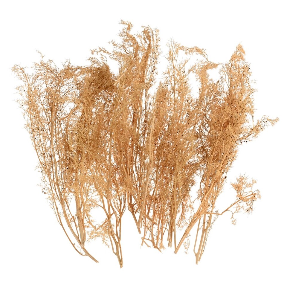 Shrubs Model Bushes Long Shrub Vegetation Groups Static Grass Tuft for ...