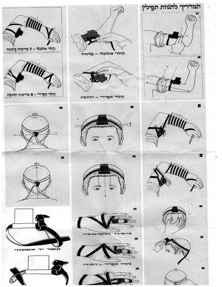 TOP QUALITY TEFILLIN -LEFT HANDED Sephardic Jewish Kosher Sefaradi ...