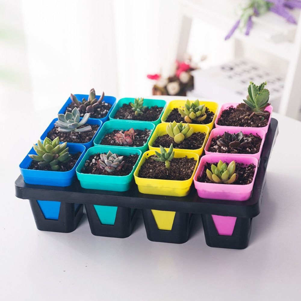 Black Flower Pots Storage Tray 6/12 Hole Potted Bracket Seeding Boxes ...
