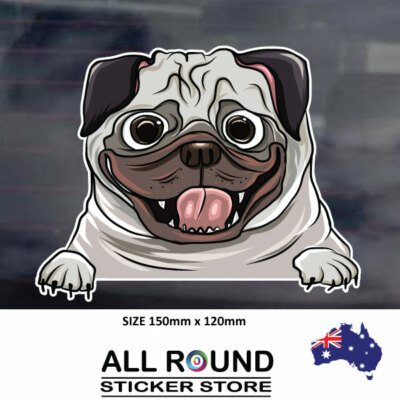PEEKING-PUG-sticker-CUTE--popular-Ebay-Decal-funny-car-warning-sticker ...