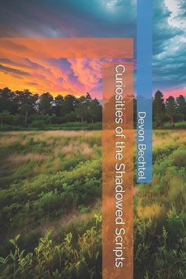 Curiosities of the Shadowed Scripts by Devon James Bechtel Paperback ...