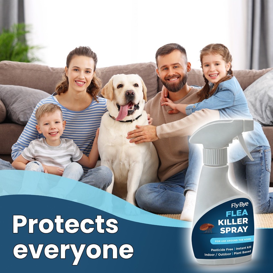Flea Killer Spray for Home Dogs Cats House Carpets Furniture Indoors ...