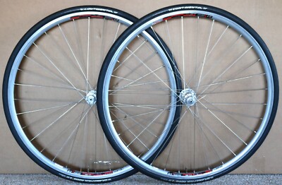 Wheels & Wheelsets - 10 Speed Wheel - Nelo's Cycles