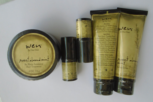 Lot of 5 Wen bt Chaz Dean Hair Care Sweet Almond Mint Products | eBay