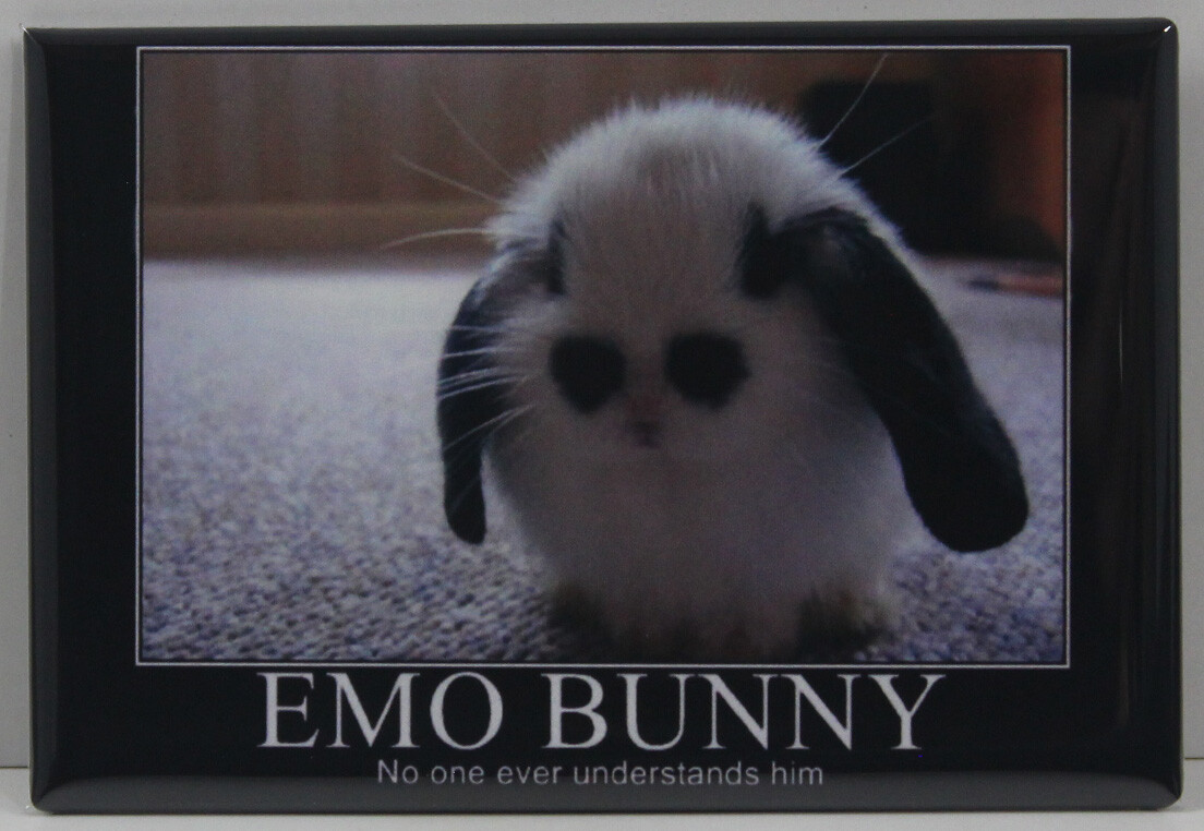 Emo Bunny Memes Emo Rabbit By Semi Poetic Suicide On DeviantArt