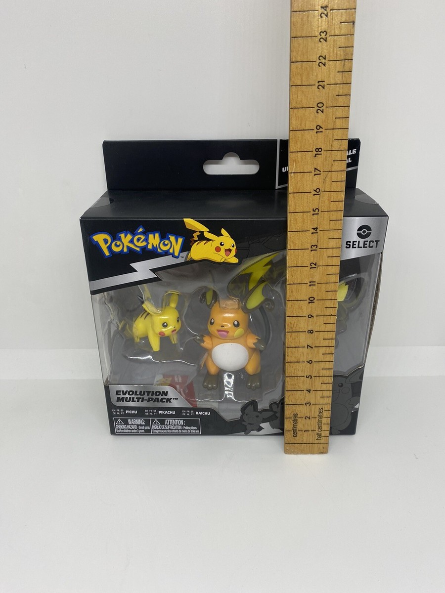 Pikachu Evolution Chain Evolution Chain Of Torchic | Mega Evolution