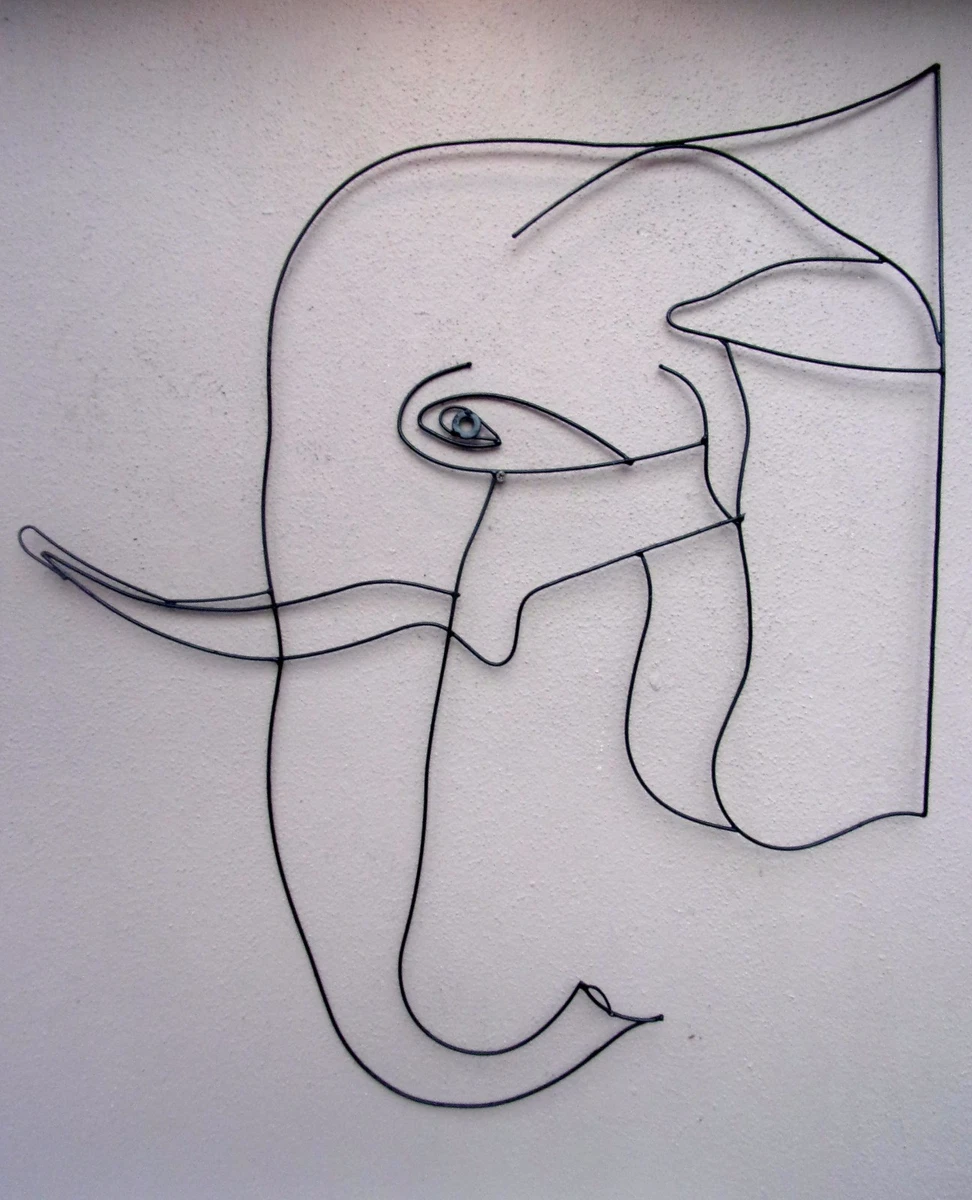 Elephant Head Profile Drawing