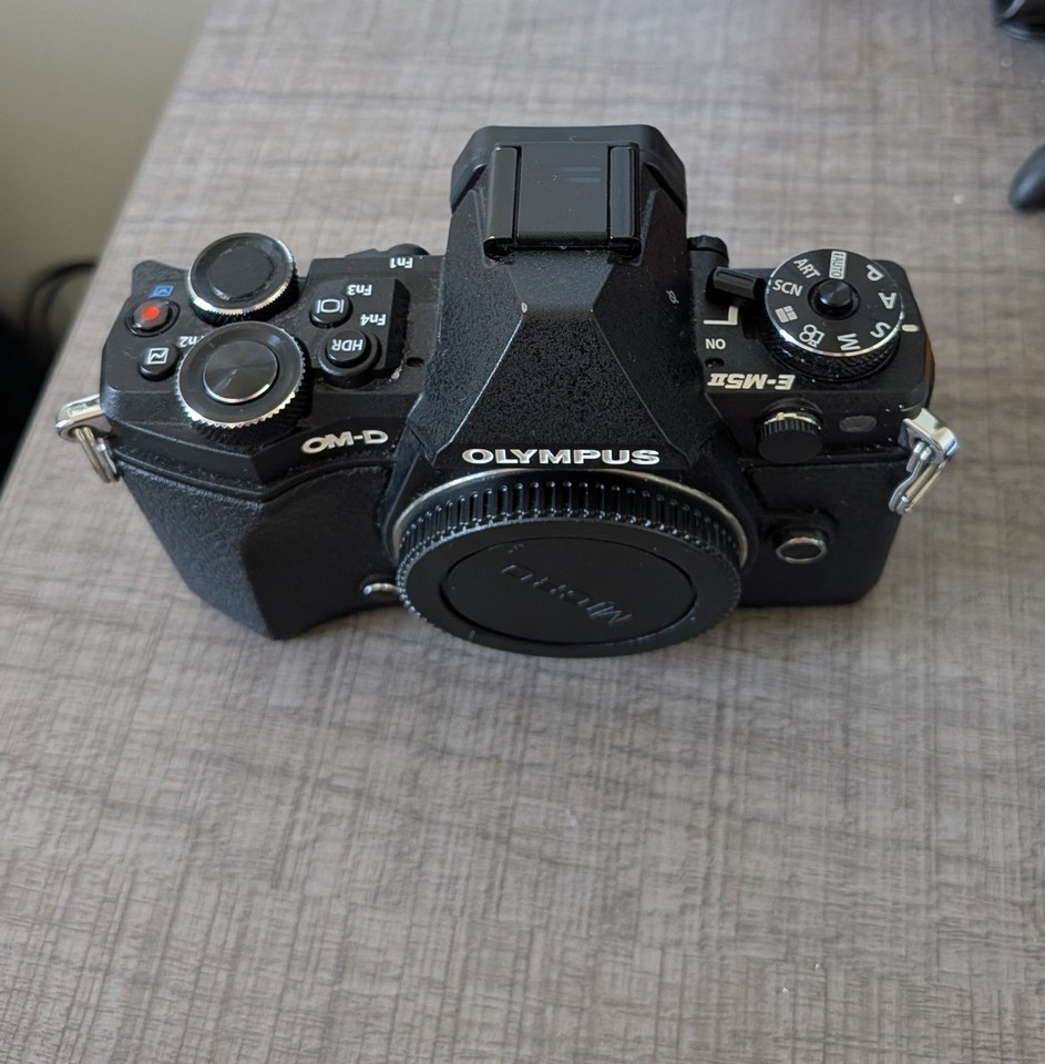 Olympus OM-D E-M5 Mark II 16.1MP Digital SLR Camera Body Only - Black ...