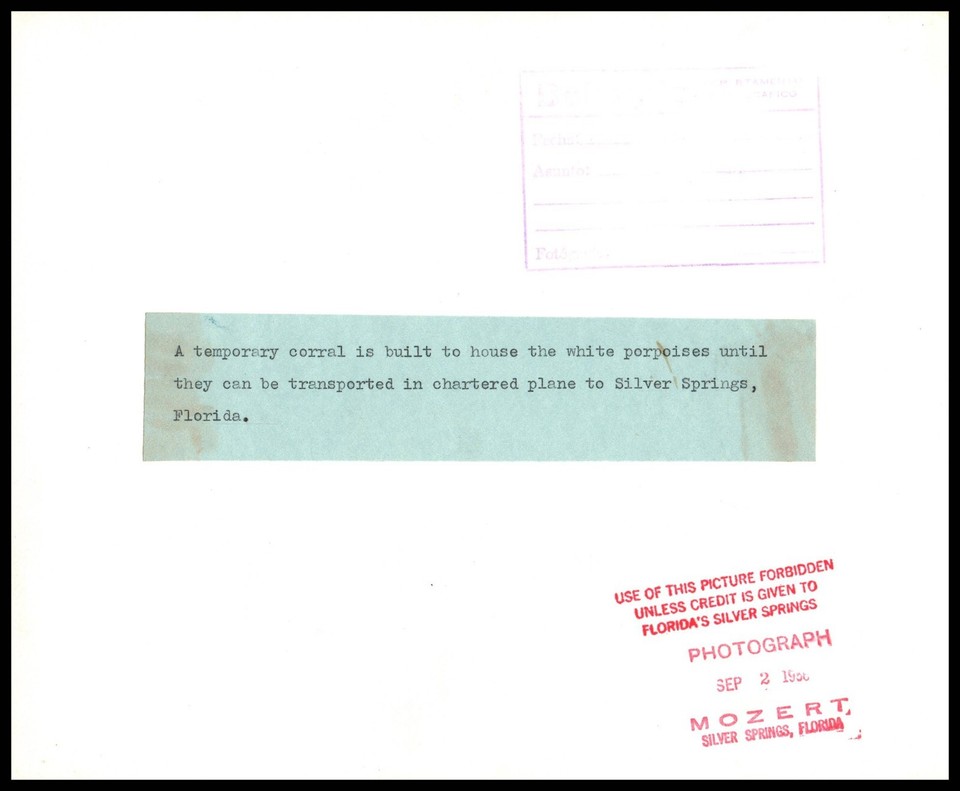 FLORIDA ICONIC SUBMARINE PHOTOGRAPHER Bruce Mozert CREDITS ORIG 1950s ...