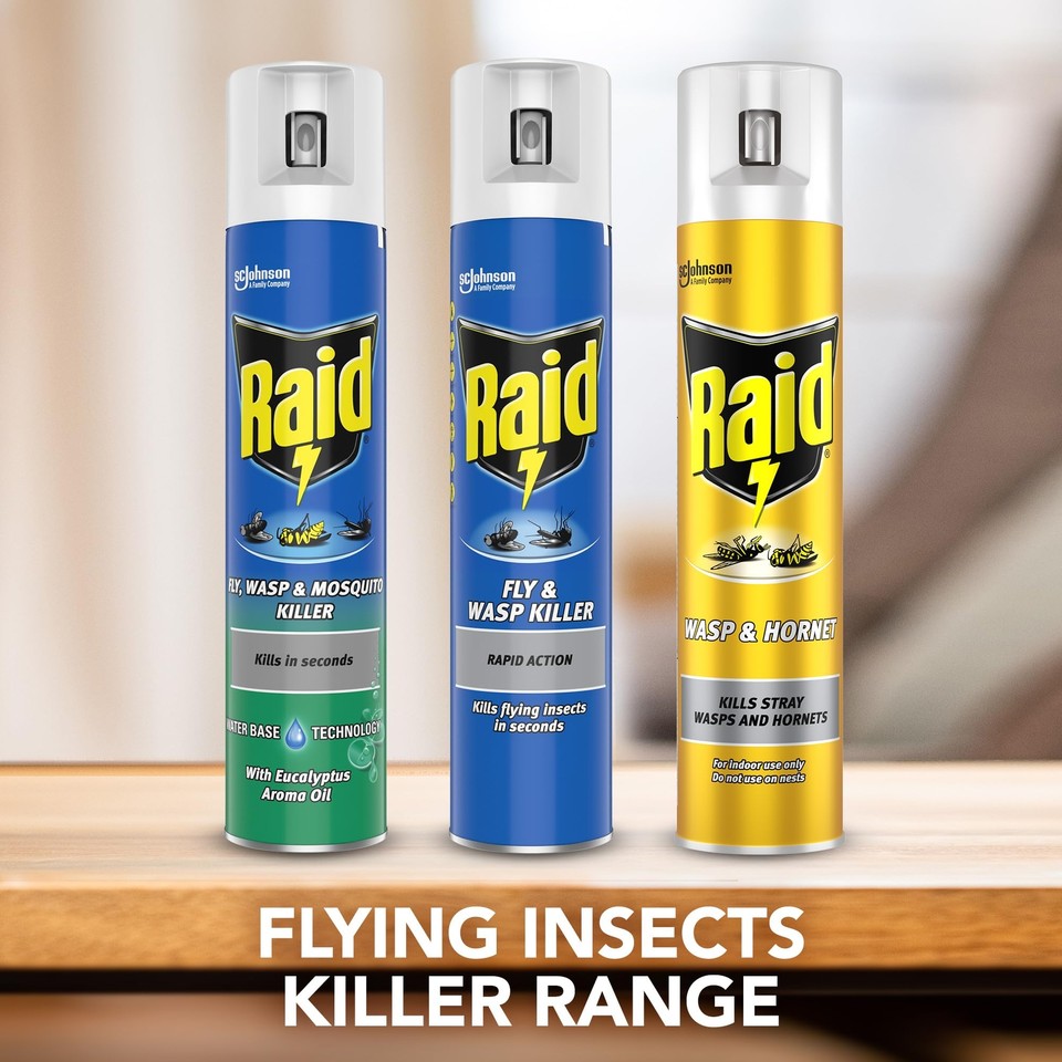 Raid Rapid Action Fly & Wasp Killer, Fly Killer Spray For Indoor,Pack ...