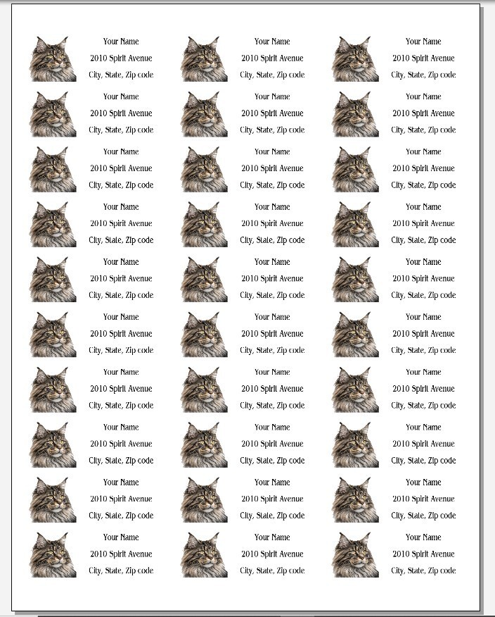 150 Maine Coon Cat Mailing Return Address Labels Personalized 1 x 2 5/8 ...