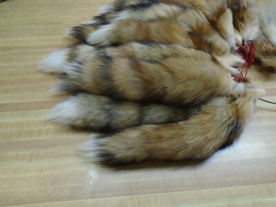 Tanned Red Fox Tails Trapping Fur Coats Fur Red Id Tag ( 1 ) Tail Only ...