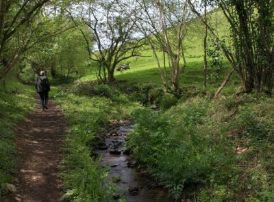 Photo 6x4 Stream by the path to Loddiswell Loddiswell Footpath 19 ...