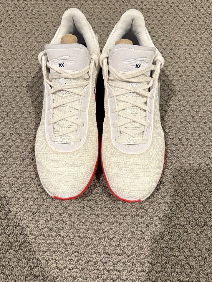 Nike LeBron 20 PE Duquesne University Home Size 12.5 Pre-owned | eBay