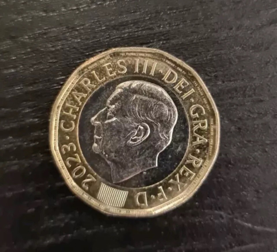 King Charles 2023 £1 One Pound coin Bees | eBay UK