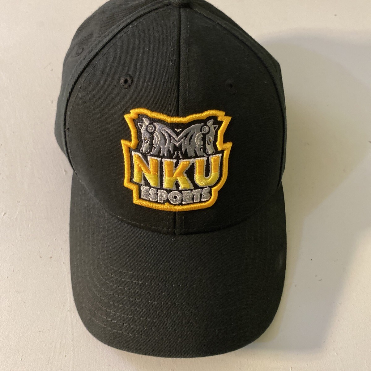 Nku Canvas CPS Educators And Volunteers Honored At Cincinnatus