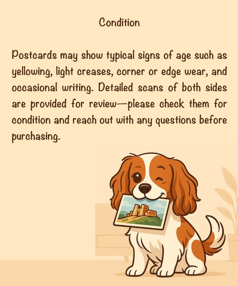 Who Cares Defiant Devoted Sentimental Love RPPC Studio Real Photo ...