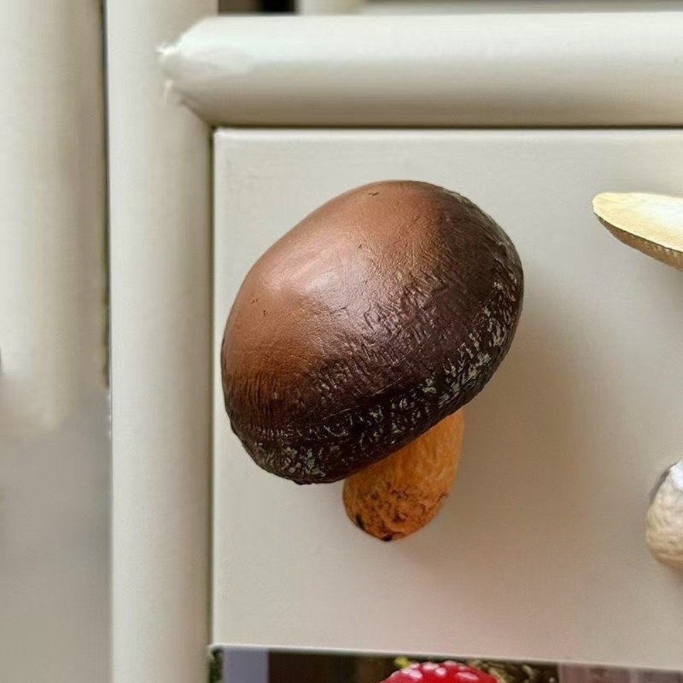 3D Fridge Magnets Creative Fridge Decor Refrigerator Magnets Home ...