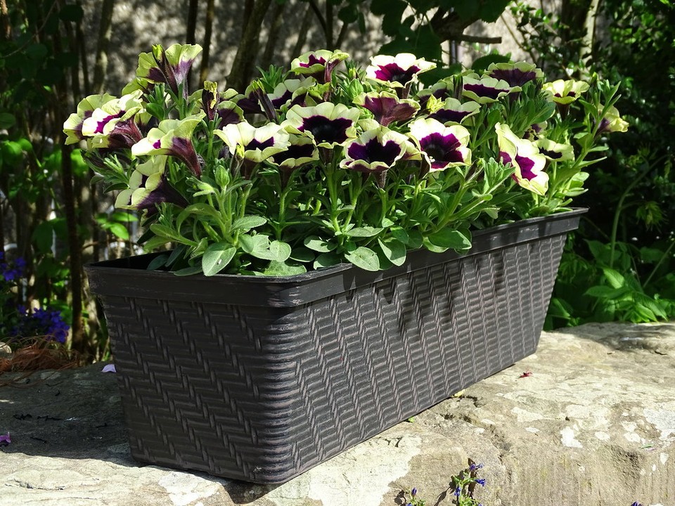 Large Long Plastic Trough Window Box Planter Herb Flower Box Home ...