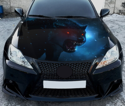 Wolf Car Hood Wrap Vinyl Decal Full Color Graphics Wild Predator ...