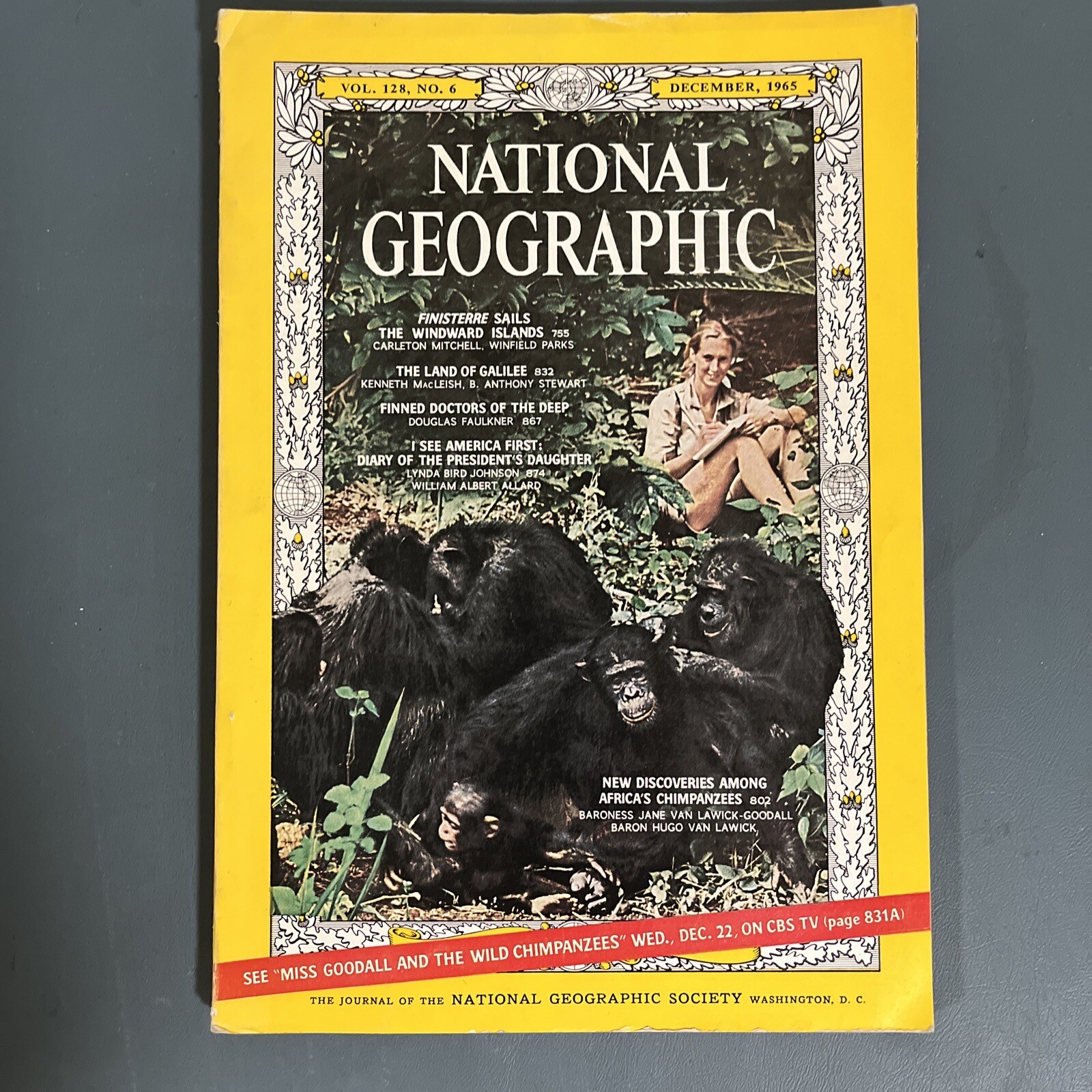 Jane Goodall National Geographic 1963