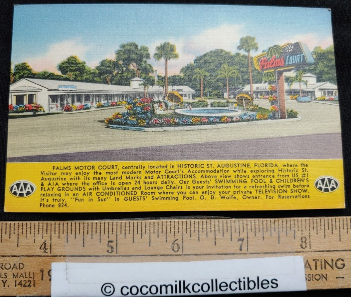 1940s Postcard Florida What You Don't Know About St. Augustine