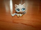 LPS #1364 Cream with Tan Paws Longhair Cat Aqua Blue Eyes 2006 Hasbro ...