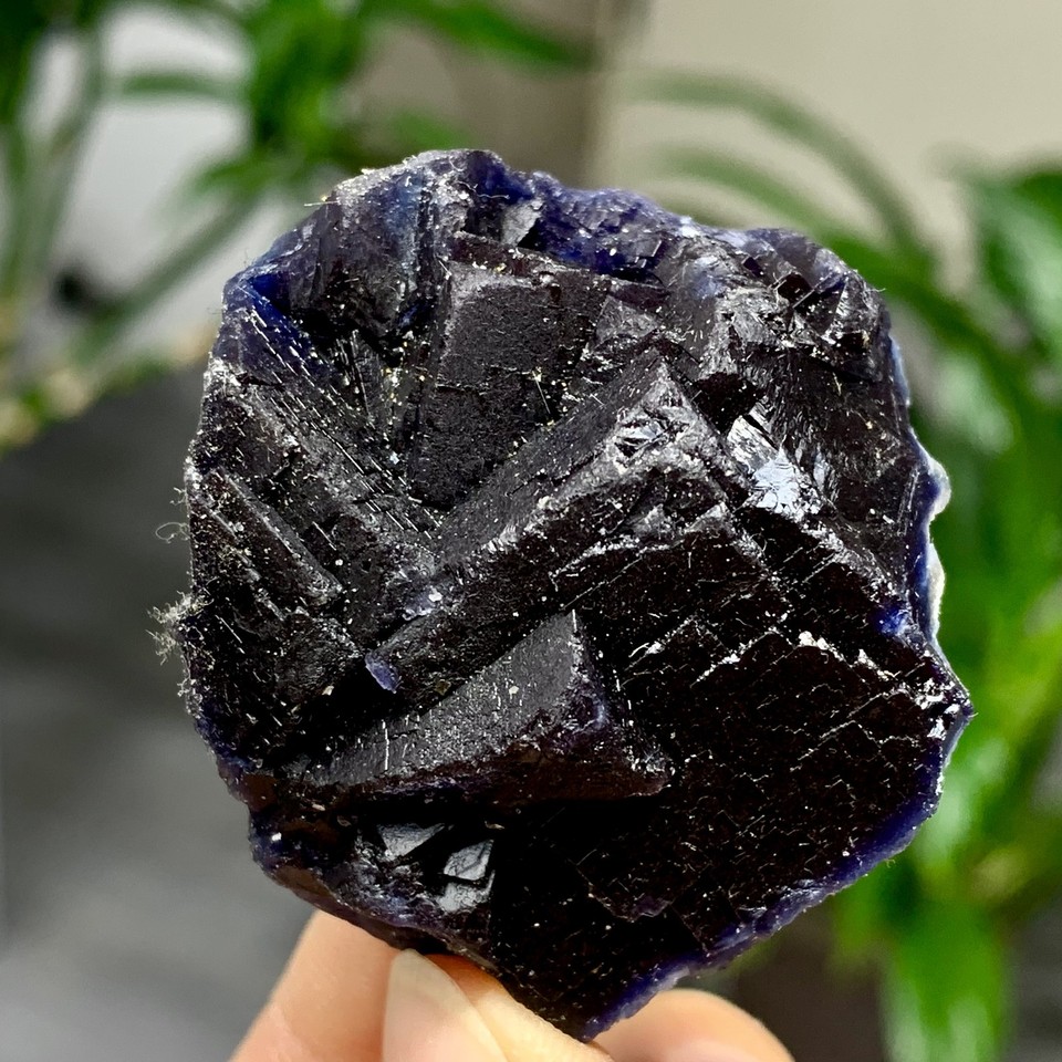 59G Natural black rose fluorescent cube fluorite specimen glow under UV ...