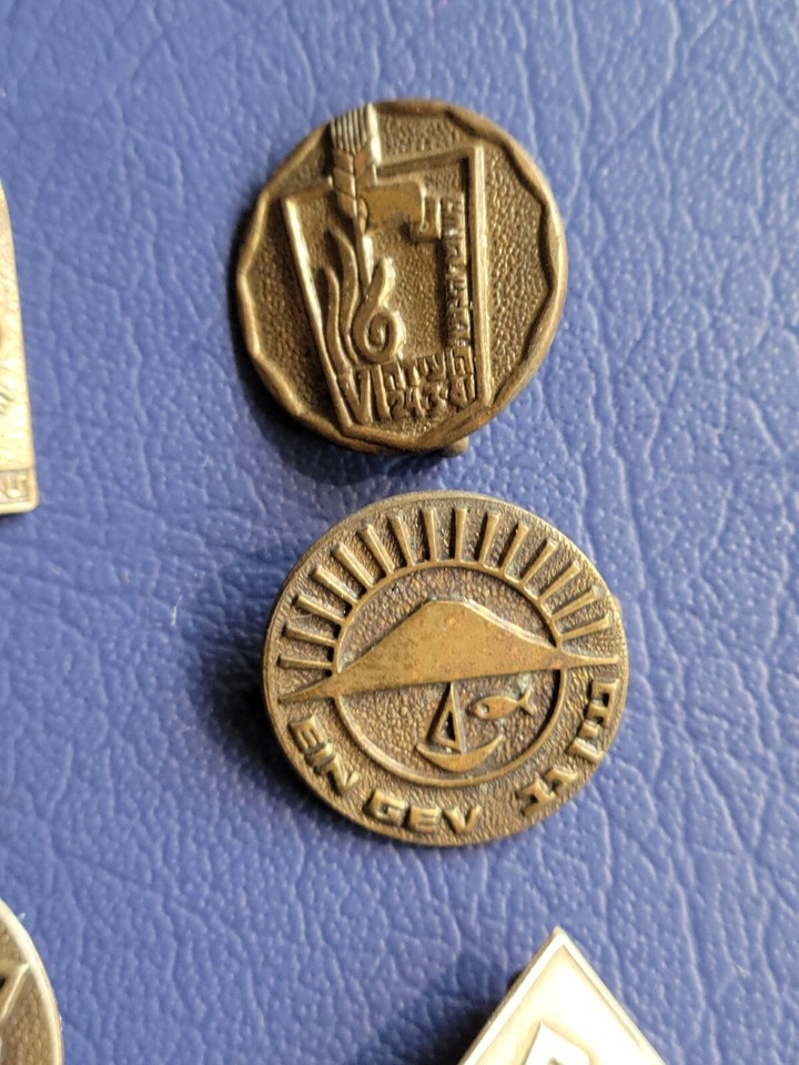 LARGE LOT OF RARE VINTAGE ISRAELI ZIONIST HEBREW PINS BADGES | eBay