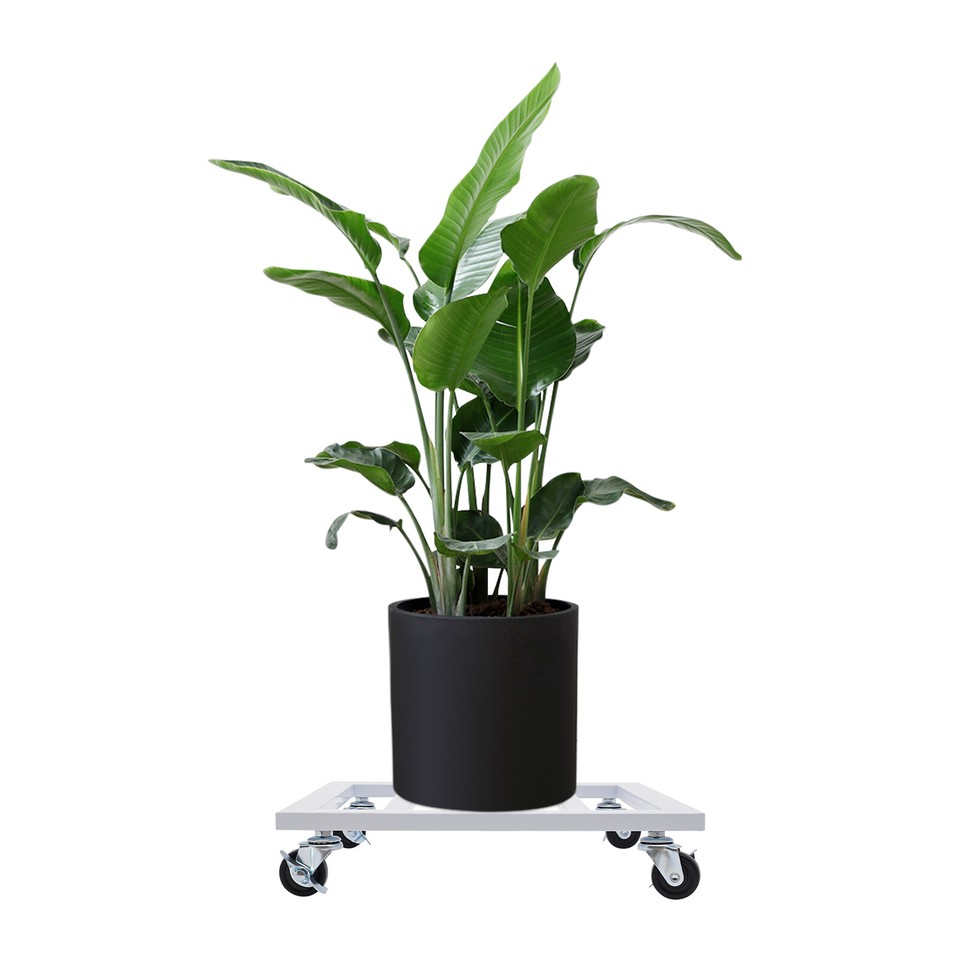 Plant Rolling Stand Plant Tray Flowerpot Tray Rack 4-wheel Rolling ...