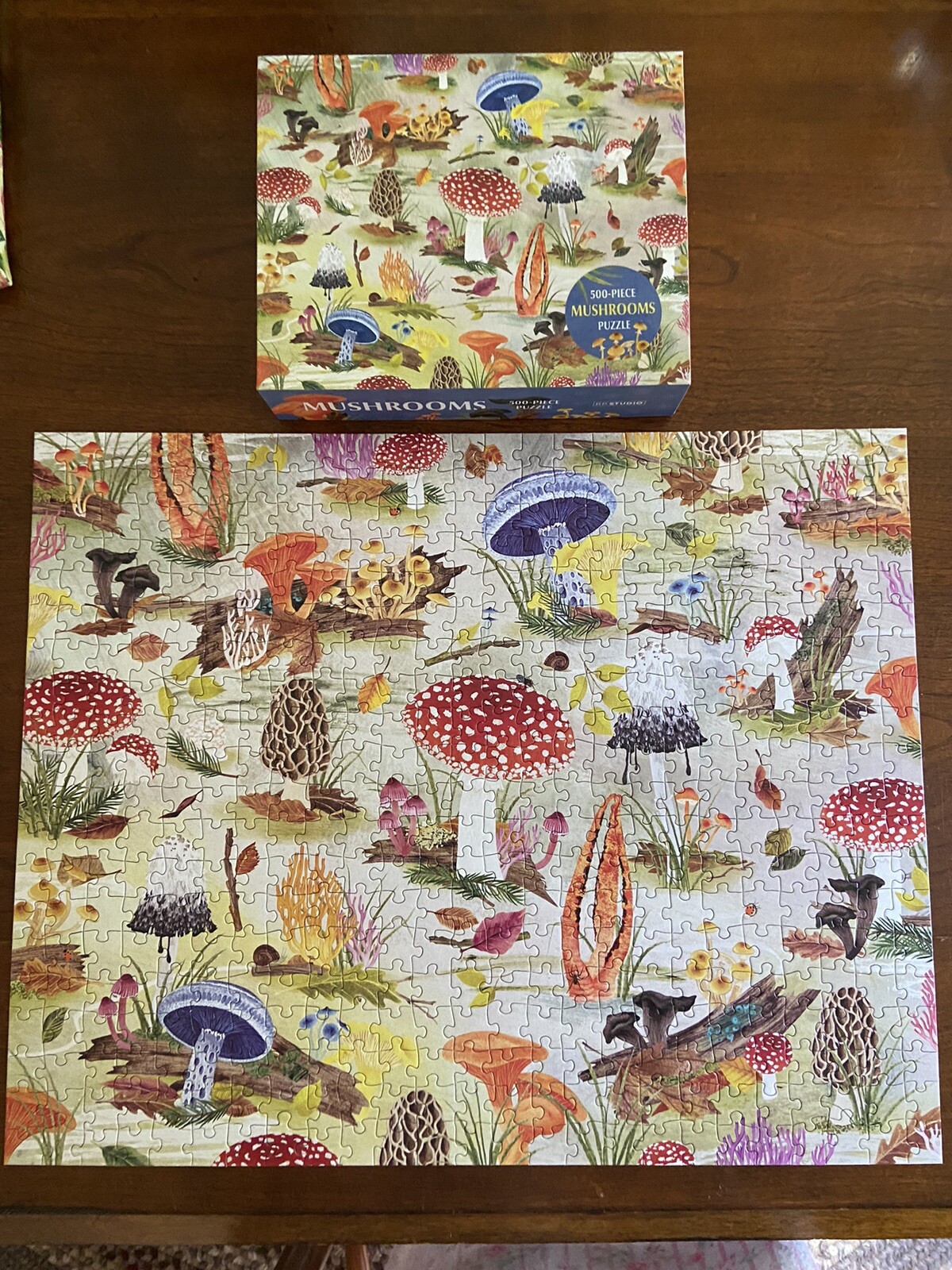 Mushrooms Puzzle 500-piece by Meg Madden Pre Owned Completed Once 16 X ...