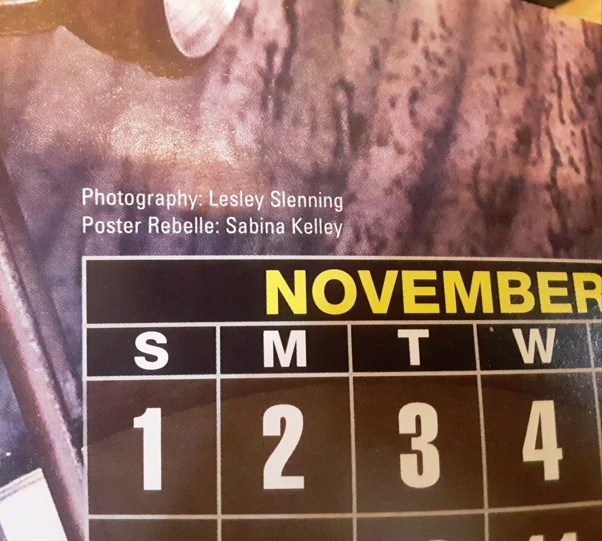 Sabina Kelley 2022 Calendar