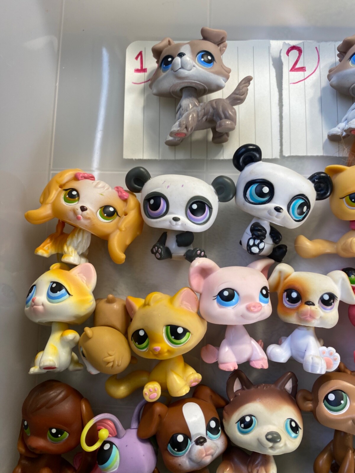 Littlest pet shop Dogs, Cats, And More! Main 5 Collies! #51-100 | eBay