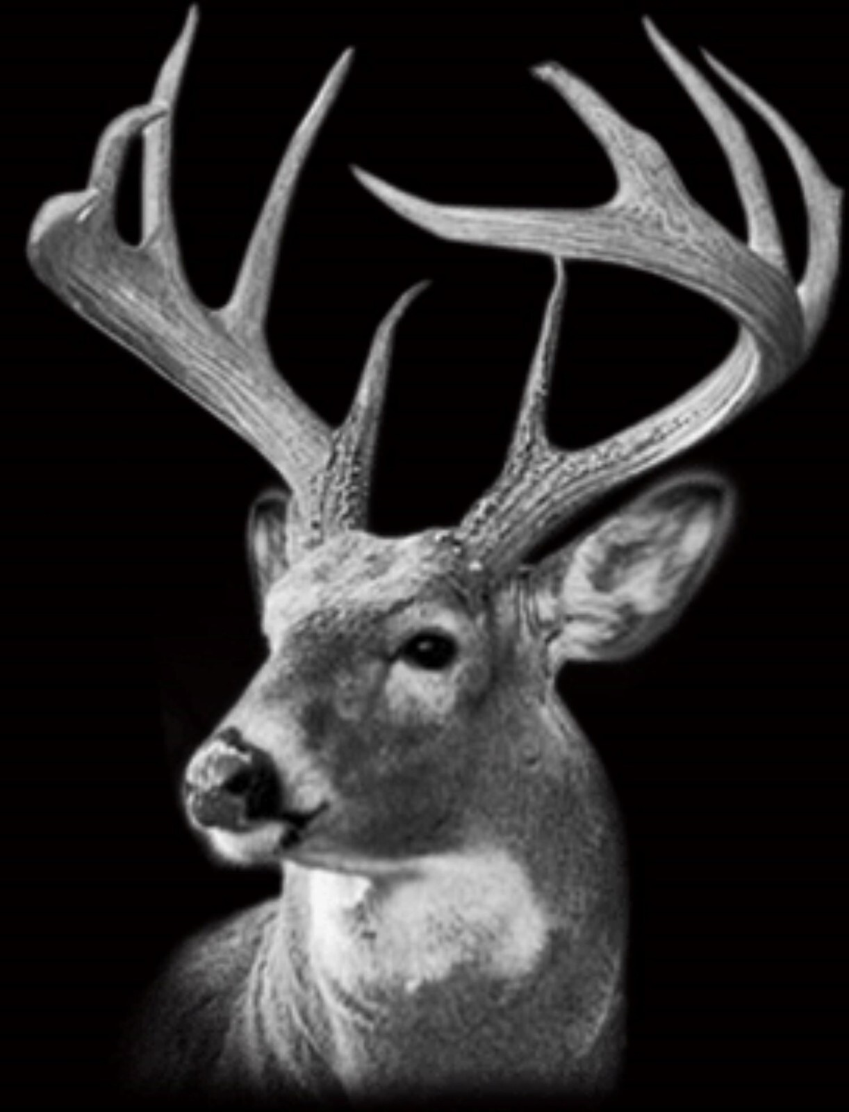 Cremation cemetery bench - headstone - 2 niche - Engraving & base ...