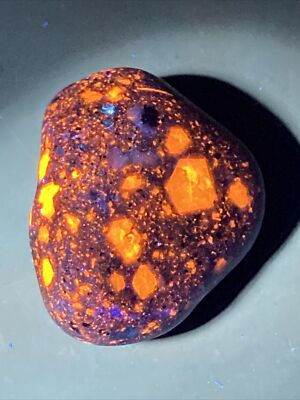 FLUORESCENT SODALITE ROCK FROM LAKE ONTARIO IN NEW YORK! FREE DOMESTIC ...