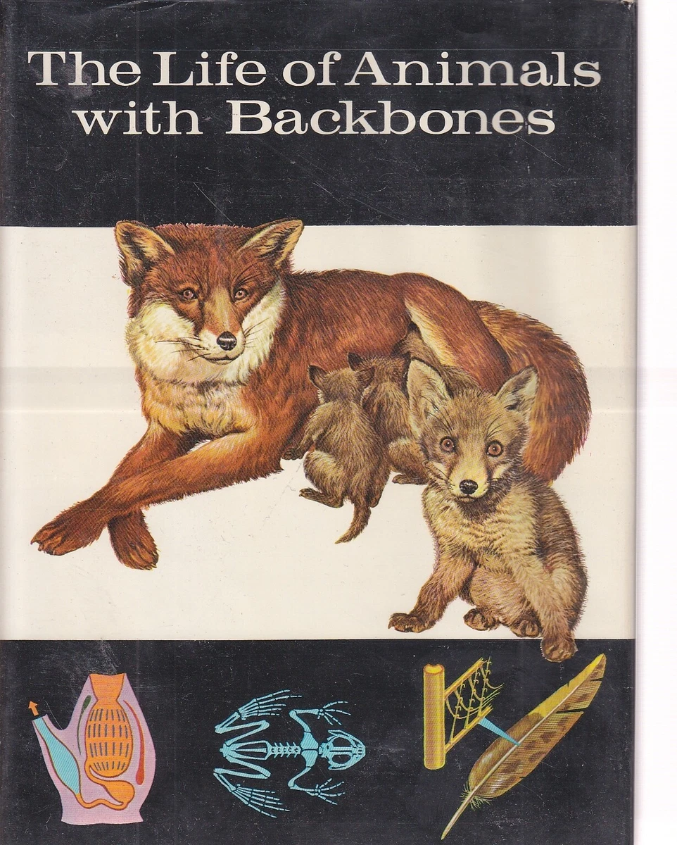 Animals Without Backbones Book