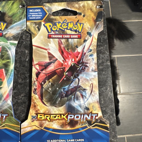 Pokemon XY Breakpoint Sealed - Art Set (4 packs total) - Sleeved | eBay