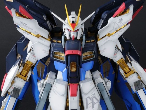 Mobile Suit Gundam SEED Destiny PG Strike Freedom Gundam 1/60 Scale ...
