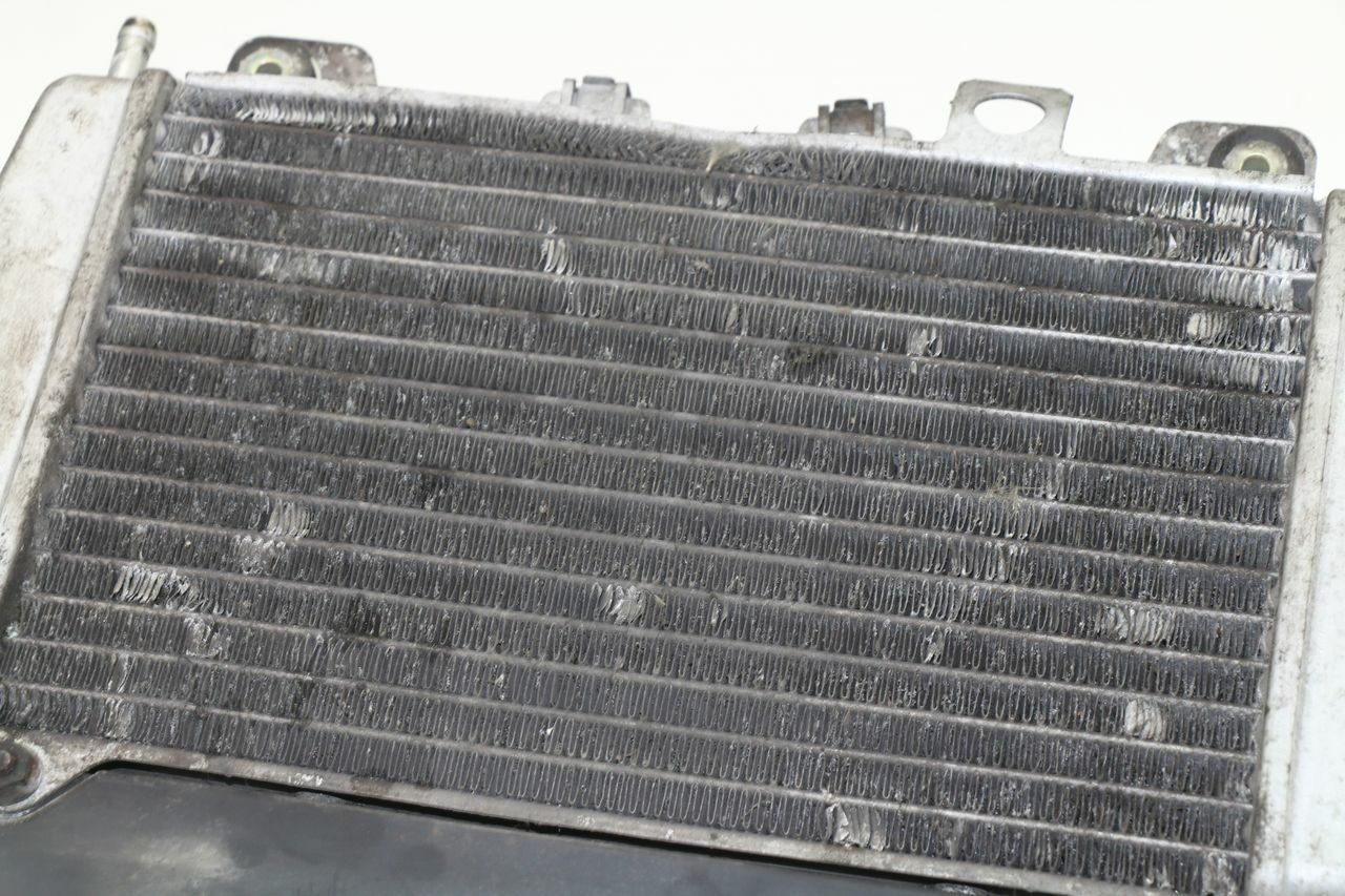 COOLANT RADIATOR - PIAGGIO X9 EVOLUTION 125 ( 2003 - 2007) | eBay