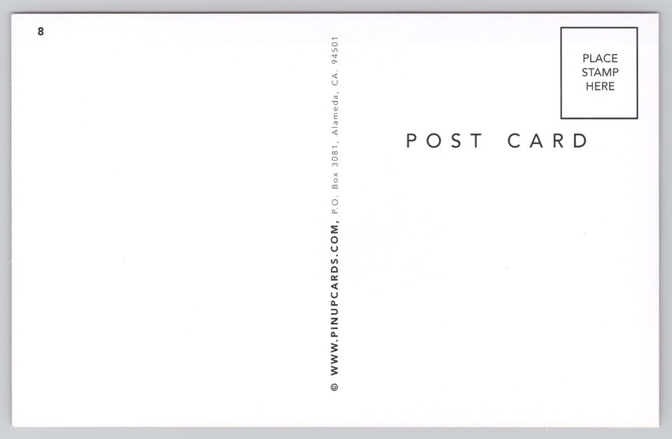 Topless Sexy Woman Corset Lingerie Pantyhose, Risque Pin Up Girl, VTG ...